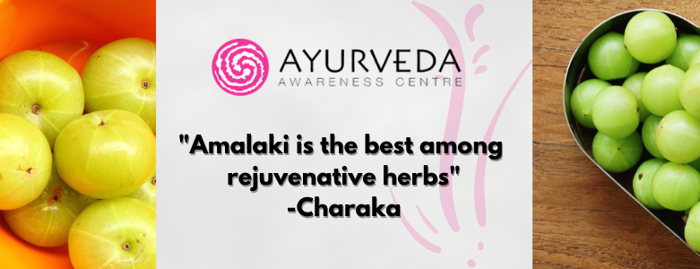 Amalaki – The Ultimate Healer | Ayurveda Awareness