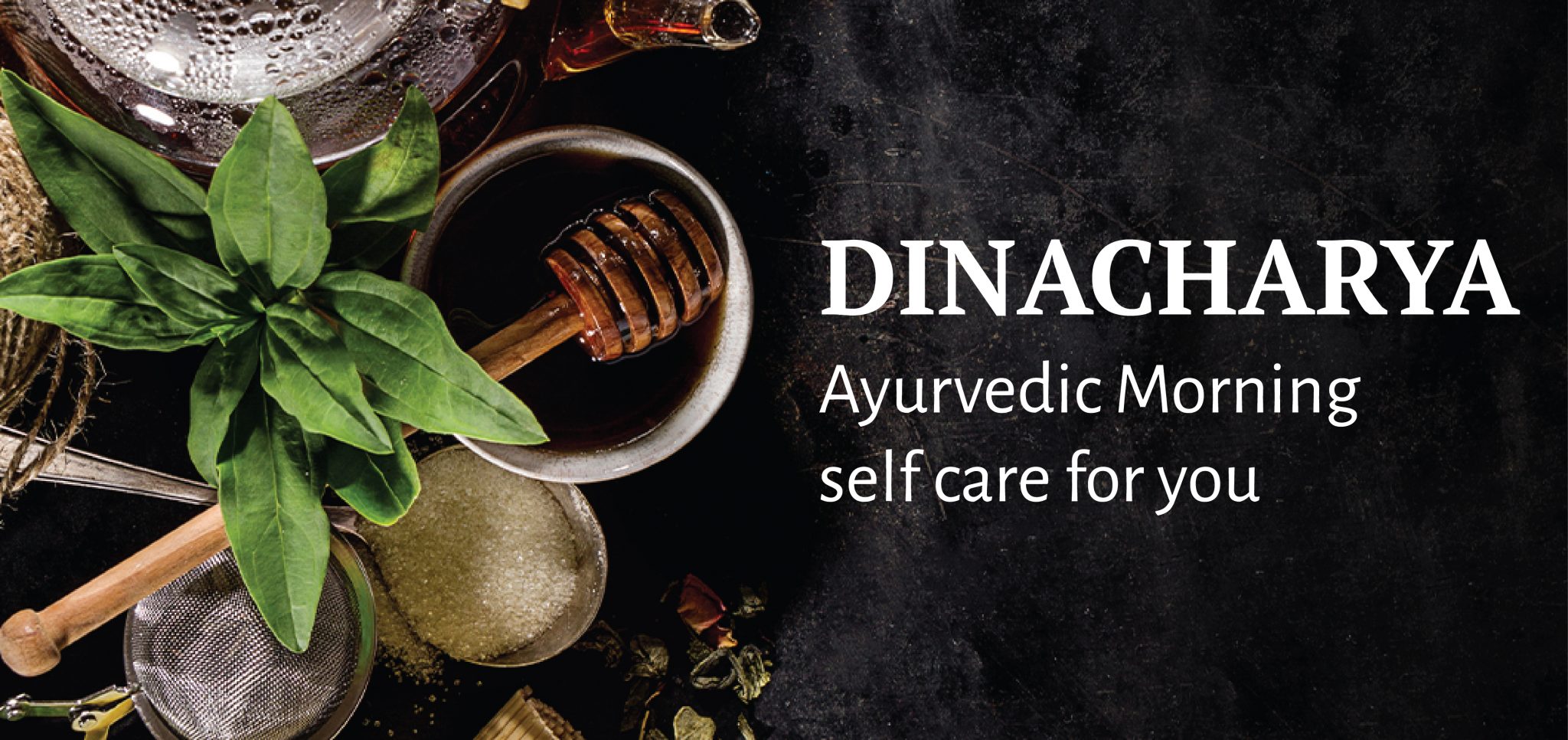 Top Benefits of Mint Leaf in our Daily Lives | Ayurveda Awareness