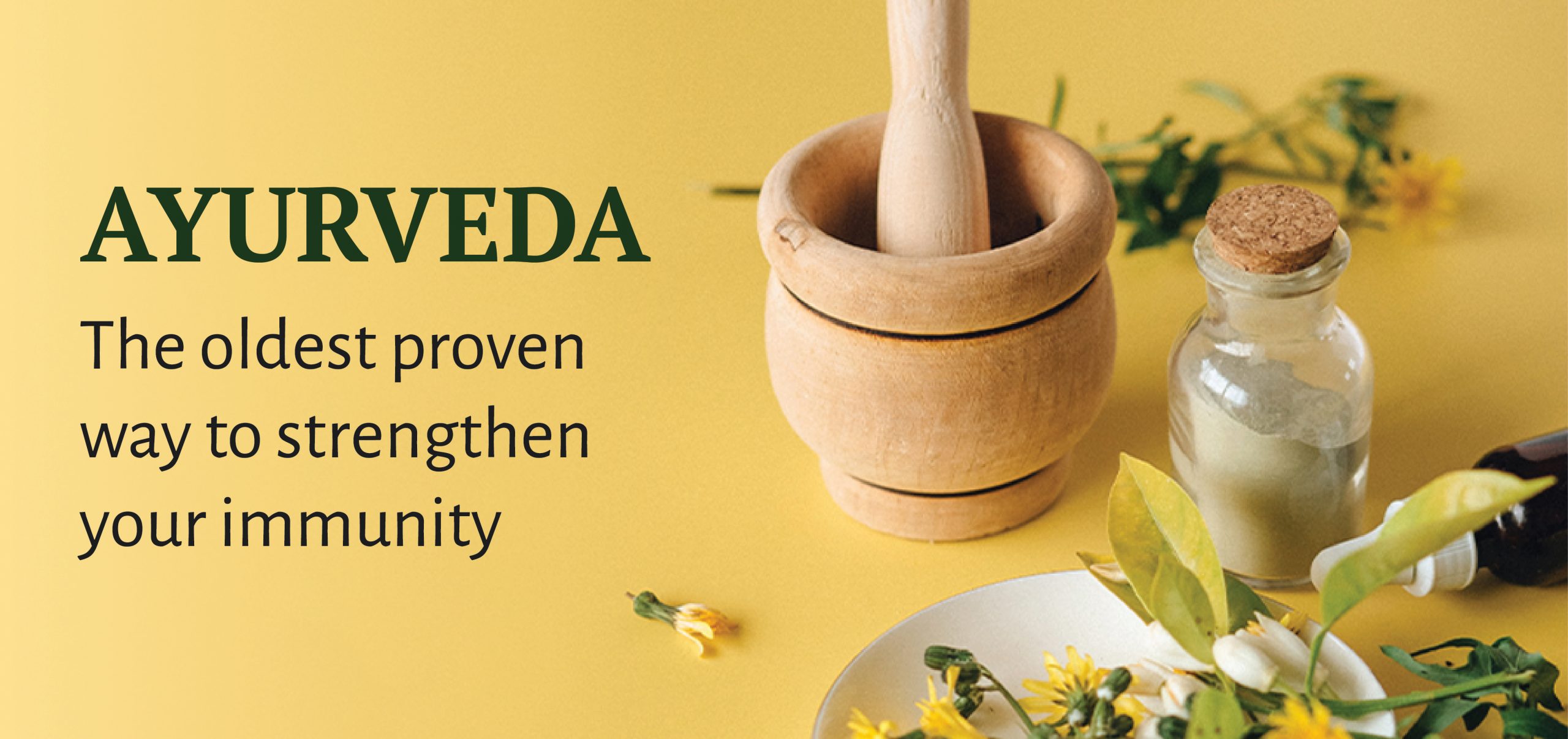The Oldest Proven Way To Strengthen The Immunity Ayurveda Perth